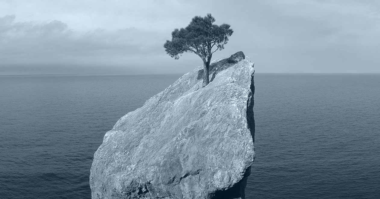 Safeguarding Operational Resilience The Macroprudential Perspective